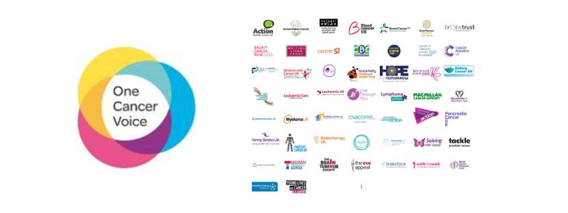 Funding call on Cancer Plan for England | Sarcoma UK